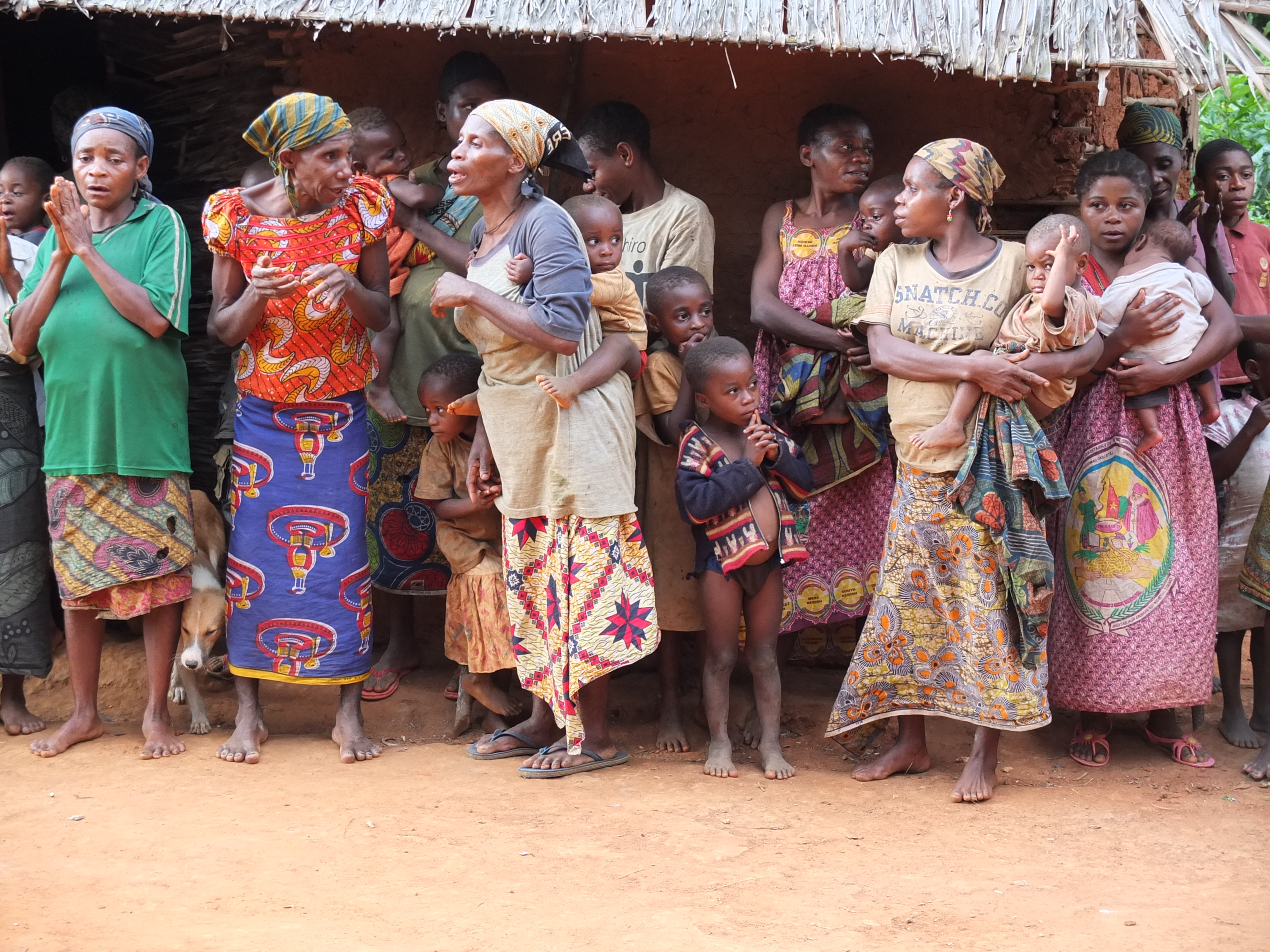 AGTER - Organisation sociale et systèmes de production agro-forestiers ...